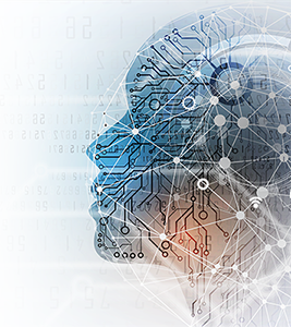 Fully Automated Work From Home Business